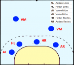 Die Handball Positionen (unterteilt nach Formation, Angriff und Abwehr)
